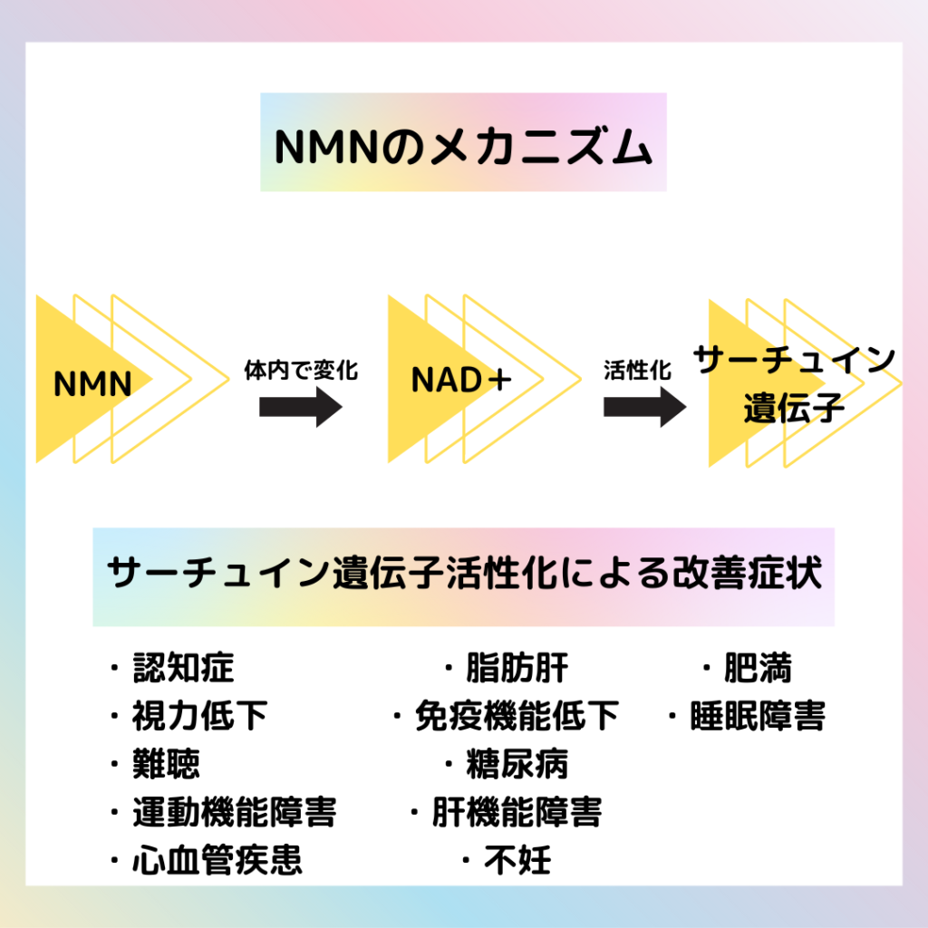 40代・50代女性にこそ知ってほしい！大注目の新成分「NMN」とは！？ - A modo mio Journal